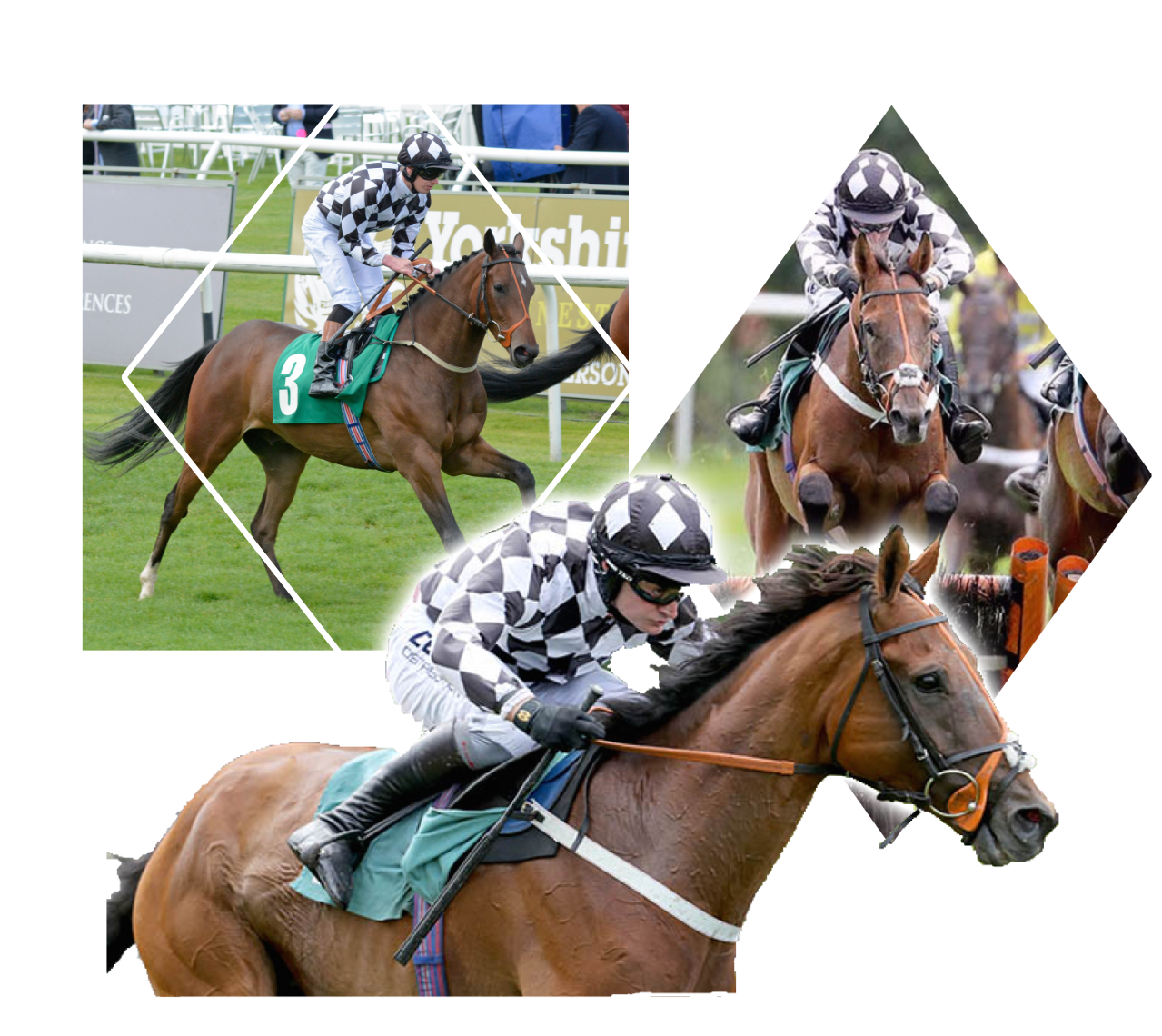 HOME - Brian Ellison Racing Club