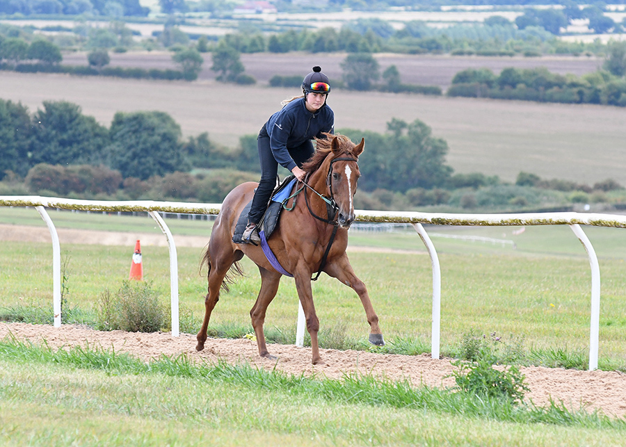 HORSES - Brian Ellison Racing Club